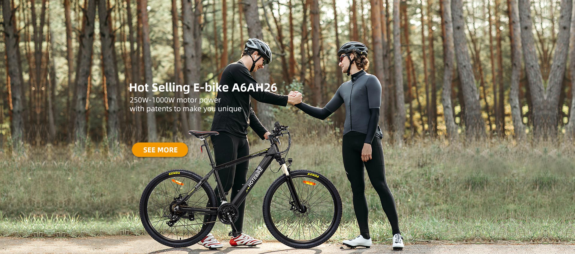 Electric Mountain Bike and hot bike parts Online | Hotebike