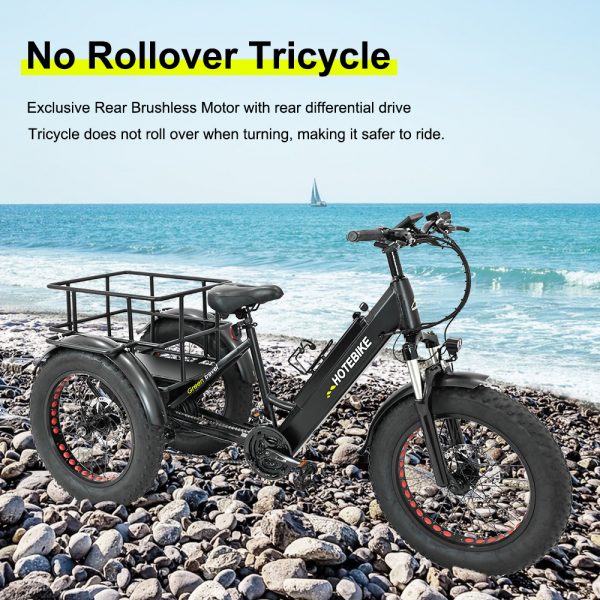 3 Wheel Electric Bike 20 inch 750W Fat Tire Electric Tricycle | hotebike